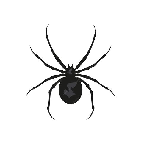 Premium Vector Poisonous Spider Black Widow Spider Silhouette
