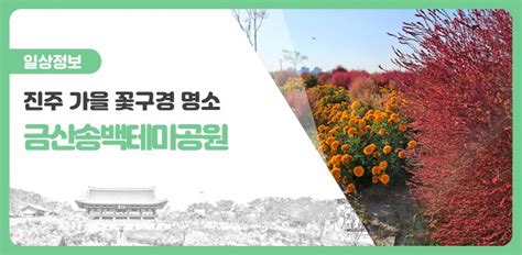 진주 가을 꽃 숨은 힐링 명소 경상남도 진주시 웰로