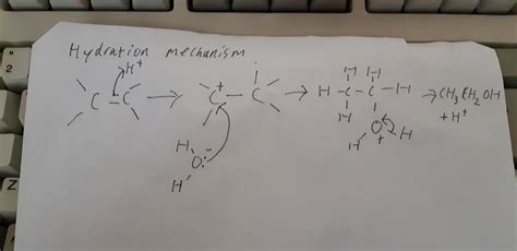 Making Ethonal Diagram Quizlet