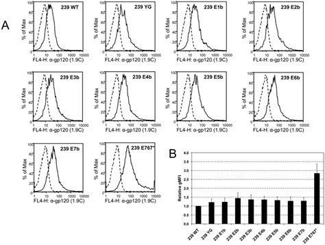 cell surface expression of sivmac239 env is not significantly altered