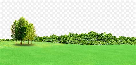 草原背景图png图片素材下载图片编号qaxgrlzy 免抠素材网