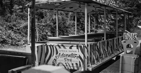 Understanding The Evolution Of Trains Next Train