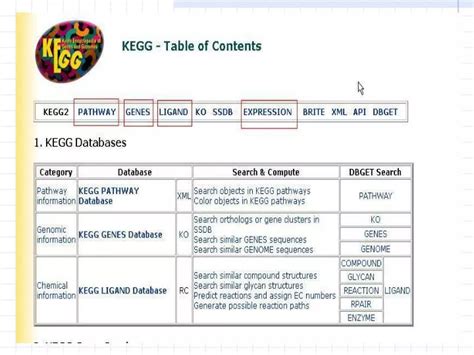 PPT Application PowerPoint Presentation Free Download ID 4141832