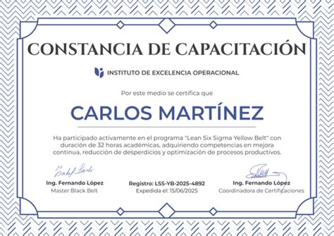 Modelos De Certificados De Capacitación Profesionales