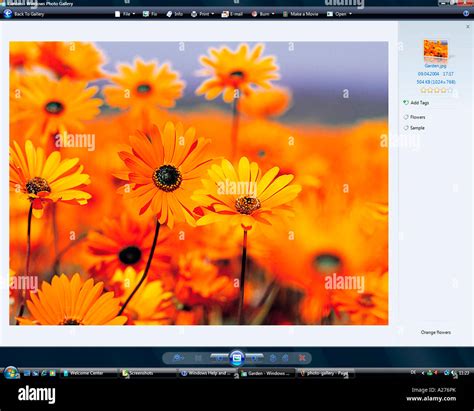 Microsoft Windows Photo Gallery Windows Live Photo Gallery Free