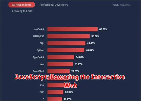 Top Programming Languages To Master For Success In 2024 Blacan