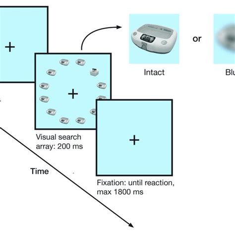 trial schematic after a 1 s fixation cross a circular visual search