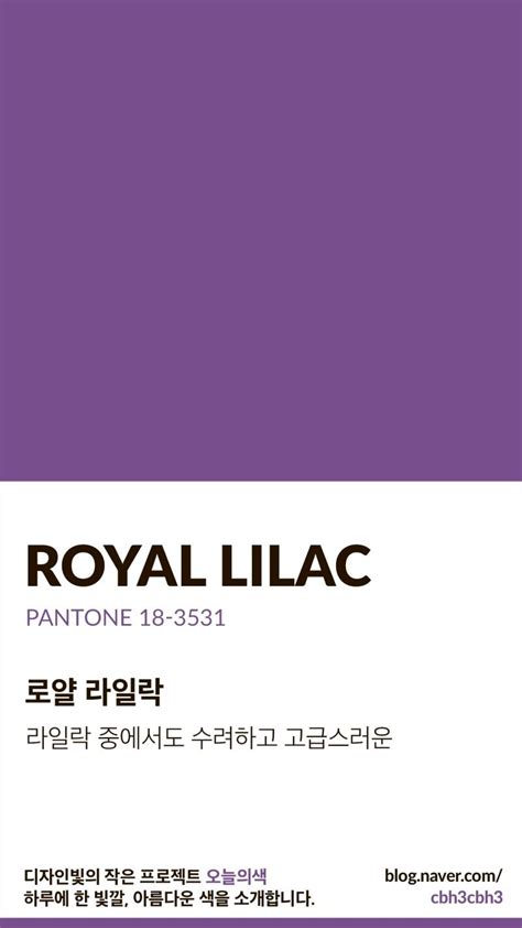 오늘의 빛 오늘의 색 로얄 라일락 네이버 블로그 색 이름 색 뜻 라일락