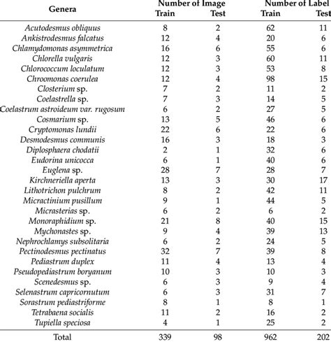 Algal Images Used For Model Development Download Scientific Diagram