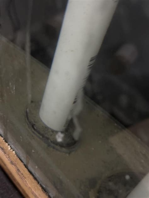 Strange Looking Dirt In Overflow And Sump Rreeftank
