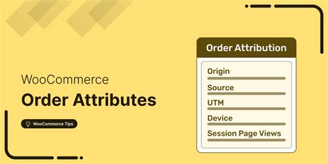 Woocommerce Order Attribution Everything You Need To Know