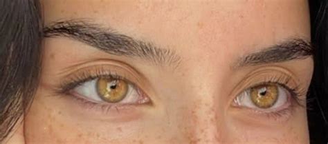 Amber Eyes Rare Eye Color Meaning And Contact Lens Match Billionaire