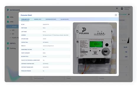 Master Data Management System Polaris Grids