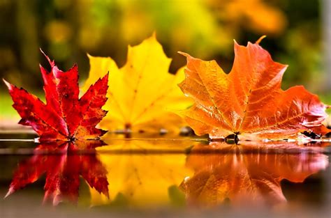 Hello November Computer Wallpapers Top Free Hello November Computer