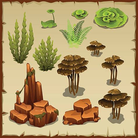 水草 水槽 イラスト素材 Istock