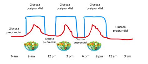 La Respuesta Ideal De Glucosa