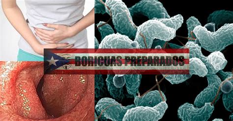 Boricuas Preparados Casos De Enteritis En Puerto Rico
