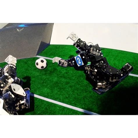 Robobuilder Football Robot Rq Huno Robotic 16 Dof Humanoid Kit Assembled Robotics Akwil Ltd