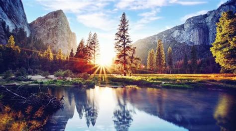 Nature Animated Wallpapers For Desktop
