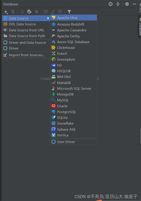 hive（番外）：hive可视化工具intellij idea 不死鸟 亚历山大 狼崽子的博客 csdn博客