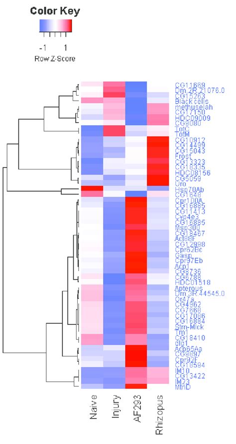 fig s4 hierarchical cluster analysis of the 54 differentially