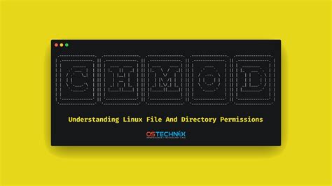 Understanding Linux File And Directory Permissions A Detailed Guide