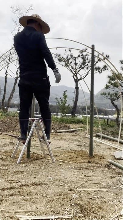 대나무 두 개로 비닐 온실하우스 만들기 공짜로 비닐하우스 만들기쓸모없는 대나무로 온실 만들기making A Plastic House With Two Bamboo