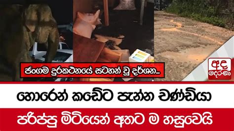 හොරෙන් කඩේට පැන්න චණ්ඩියා පරිප්පු මිටියෙන් අතට ම හසුවෙයි ජංගම දුරකථනයේ සටහන් වූ දර්ශන Youtube