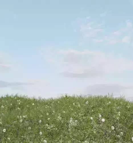 Grassy Ground Material Field Of Flowers Texture Cgtrader