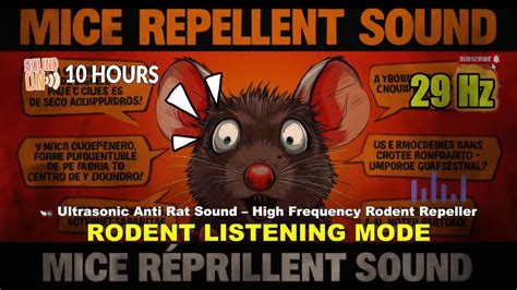 🐁🔊 Ultrasonic Anti Rat Sound High Frequency Rodent Repeller Audio