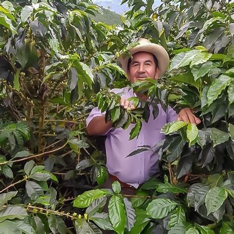 Meet Farmer Rodrigo Sanchez Parisi Artisan Coffee