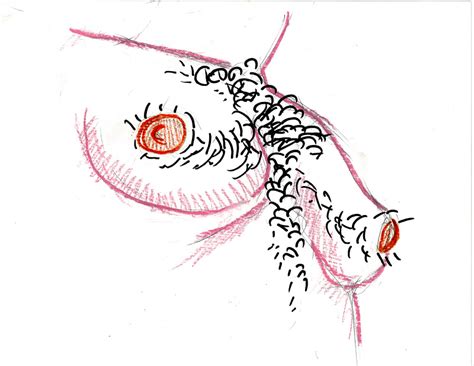 My Bod Dav Yendler Illustration