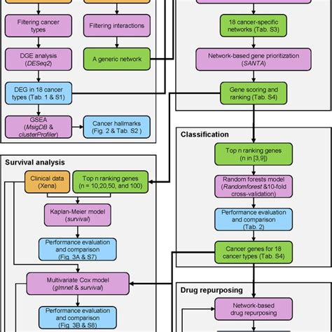 figure s1 flowchart of the computational methods used for conducting