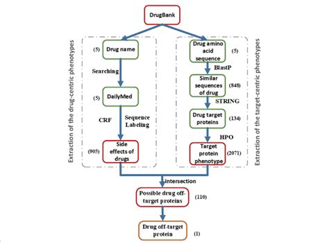Flow Chart Of The Hybrid Phenotype Mining Method The Figure Shows The