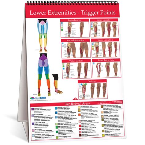 Trigger Point Flip Charts Clinical Charts And Supplies