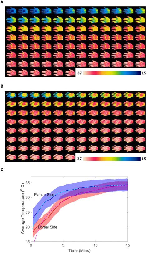 Figure 3 From Theory And Applications Of Infrared And Thermal Image Analysis In Ergonomics