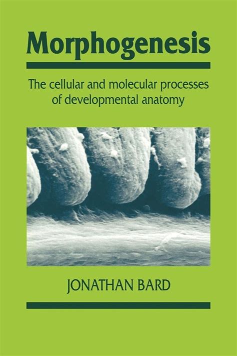 Morphogenesis The Cellular And Molecular Processes Of Developmental