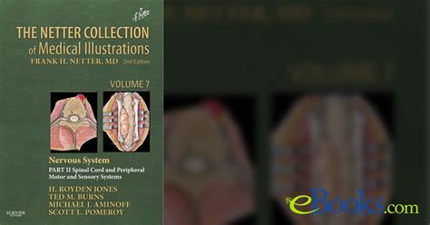 The Netter Collection Of Medical Illustrations Nervous System Volume