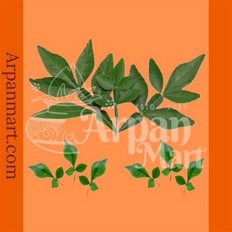 Bilva Patram Indian Arpanmart