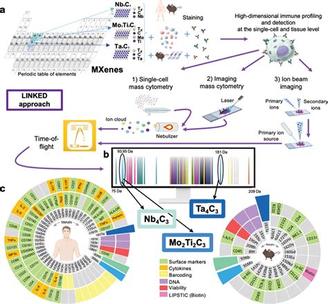 ”label‐free Single‐cell Tracking Of 2d Materials By Mass Cytometry And Download Scientific