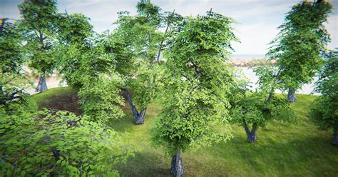 Mobile Realistic Tree 3 3d Trees Unity Asset Store