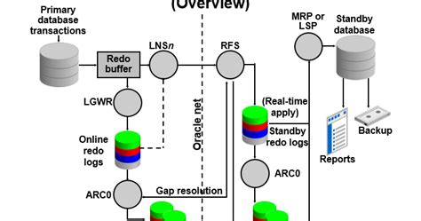 Oracle For You Training Oracle Data Guard Administration 11g