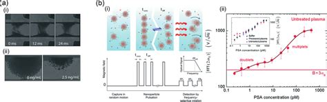 Agglutination Sandwich Assays Based On Magnetic Particles Ai A Download Scientific Diagram