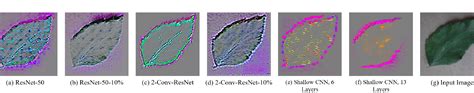 Figure 4 From Visualizing Feature Maps For Model Selection In