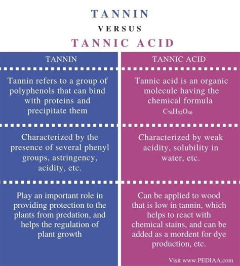What Is The Difference Between Tannin And Tannic Acid Pediaacom