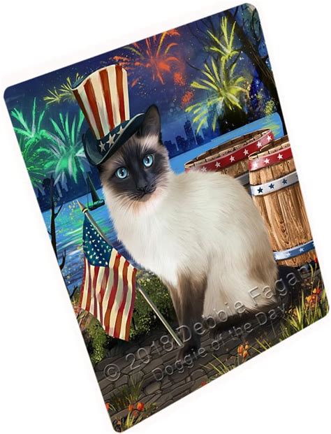 4th Of July Independence Day Fireworks Siamese Cat At The Lake Large