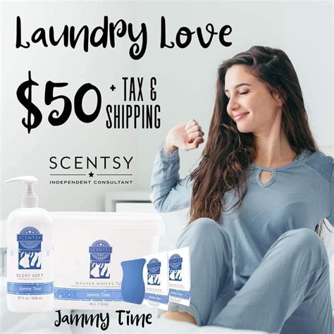 Laubdry Bundle Scentsy Scentsy Scent Electric Candle Warmers