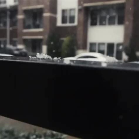 Merix Gooden On Linkedin Snow Days In Dallas ️ Yesterday In Irving Tx It Snowed For About 30