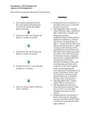 DNA Isolation Flowchart DNA Isolation SB Protocol Basic Extraction Method Procedure