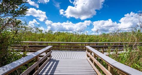 20 Best And Fun Things To Do In Homestead Fl